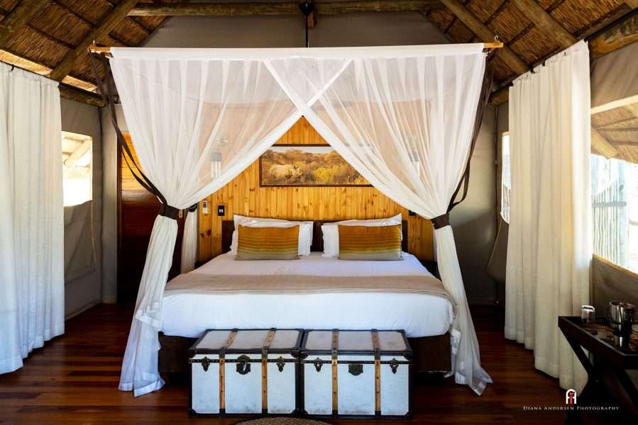 Dinaka Camp - Kalahari Desert - Wildlife Photography Safari - Wild ...