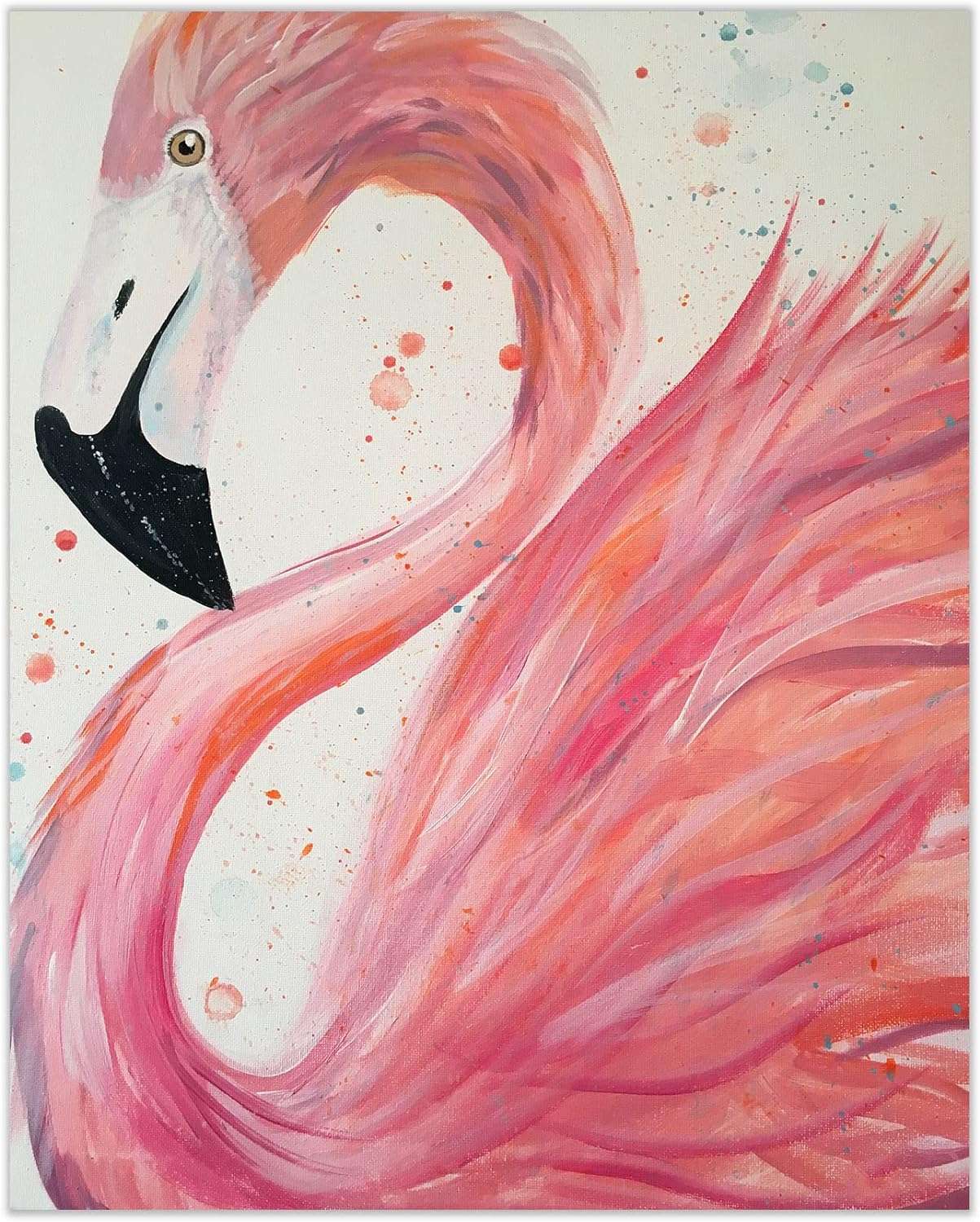 Lesser Flamingo - Habitat, Diet and Breeding - Wildlife Information