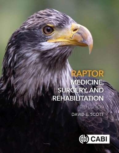Reducing Raptor Roadkill in Australia by Removing Road Carrion ...