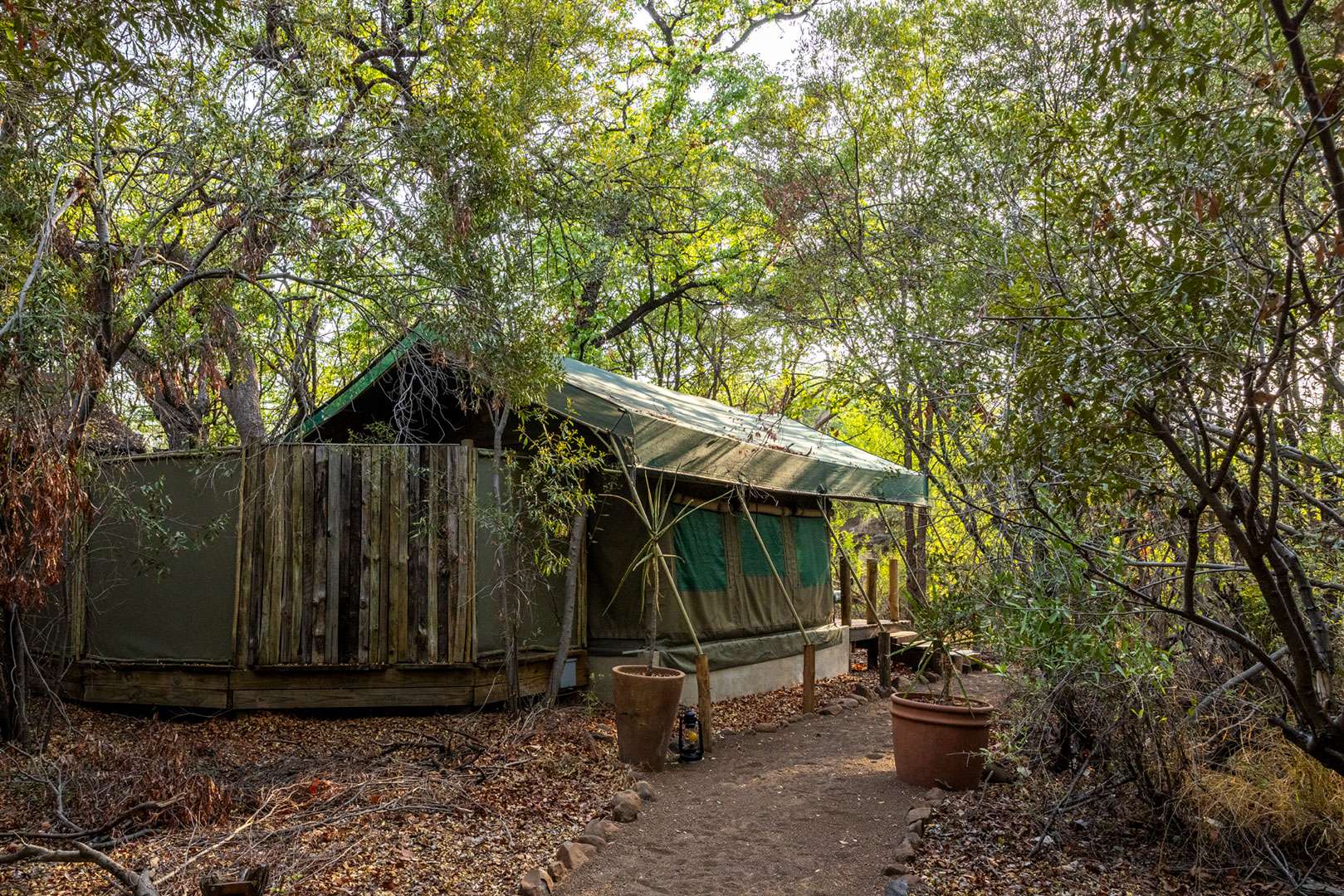 Mashatu Game Reserve, Botswana - Premium Safari Destination - Wildlife ...