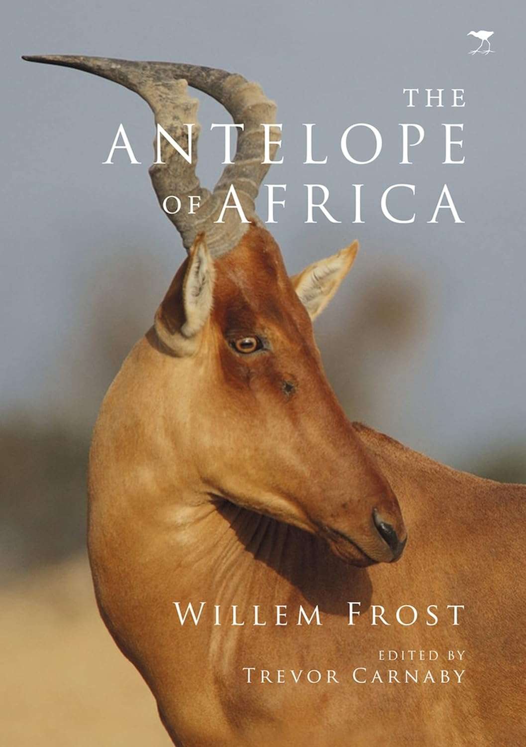 African Antelope Species - 10 Beautiful African Antelopes - Wildlife ...