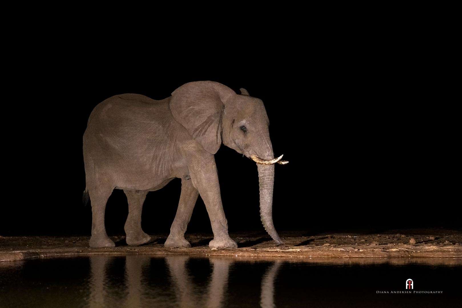 Lala Limpopo Sleepout Hide - Wildlife Photography in Botswana ...