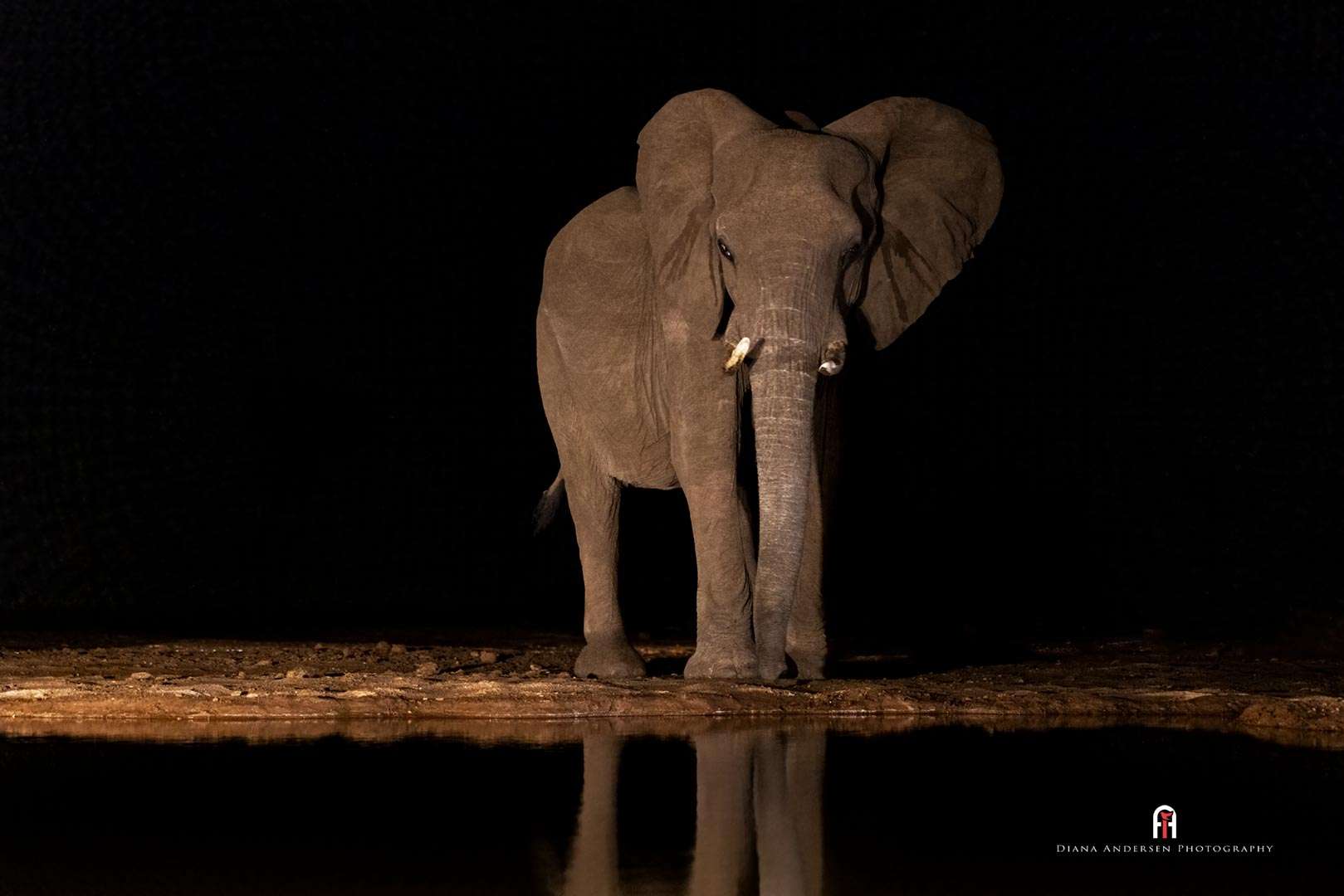 Lala Limpopo Sleepout Hide - Wildlife Photography in Botswana ...