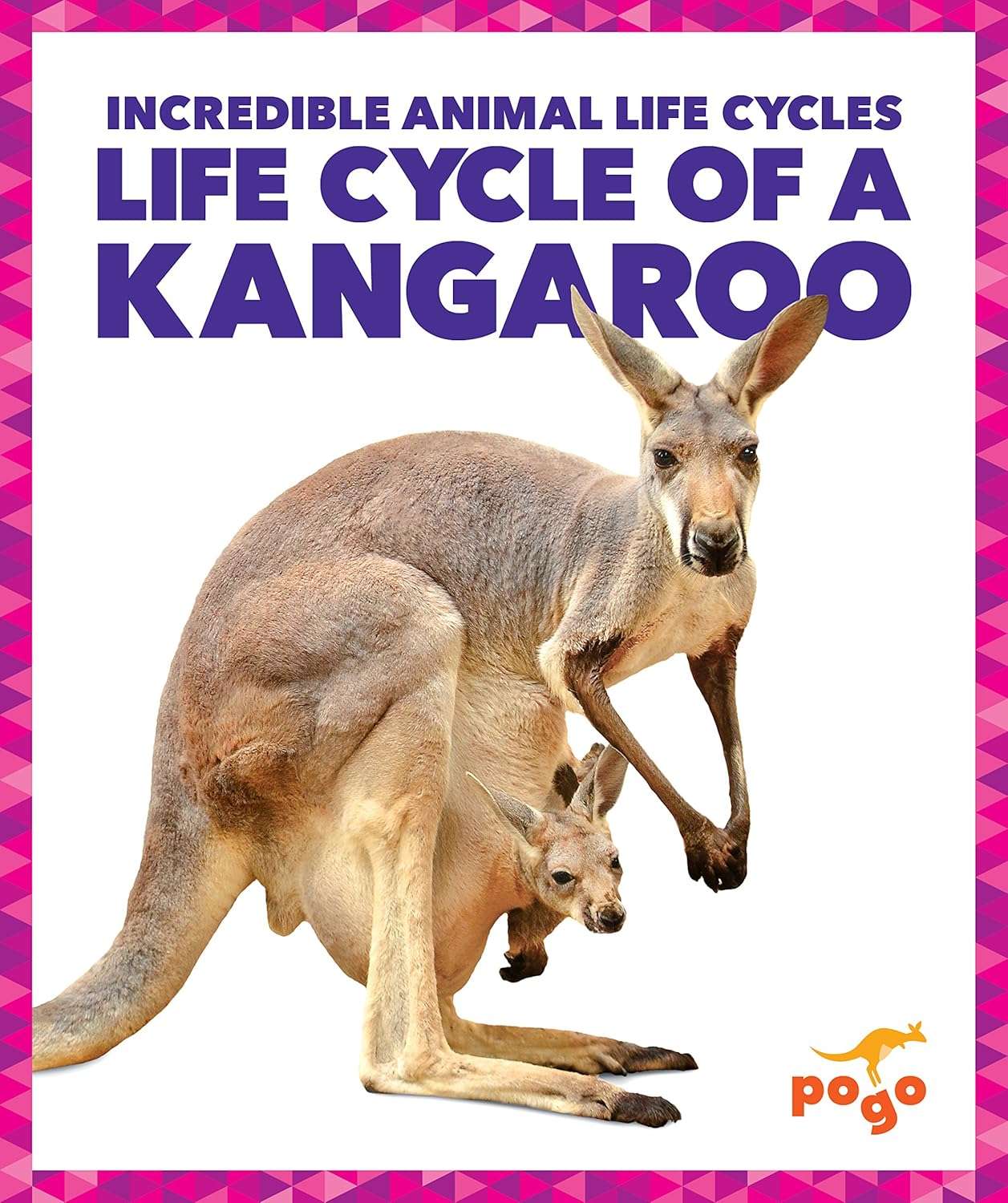 Kangaroos - The Remarkable Life of Australian Kangaroos - Wildlife ...
